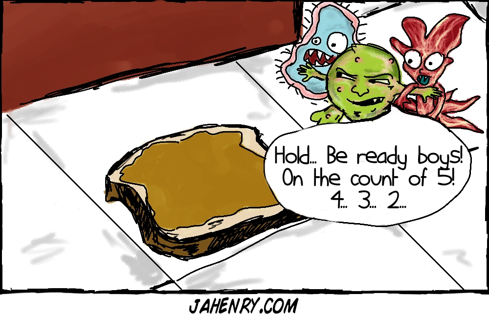 Scientific testing of the ‘5 second rule’ of food on the floor – It's ...