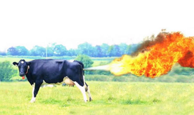 Scientists are building an animal fart database – It's Interesting
