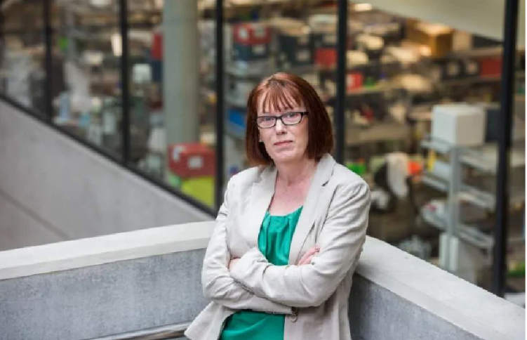 Coronavirus Vaccine Could Be Ready in Six Months from Sarah Gilbert at ...